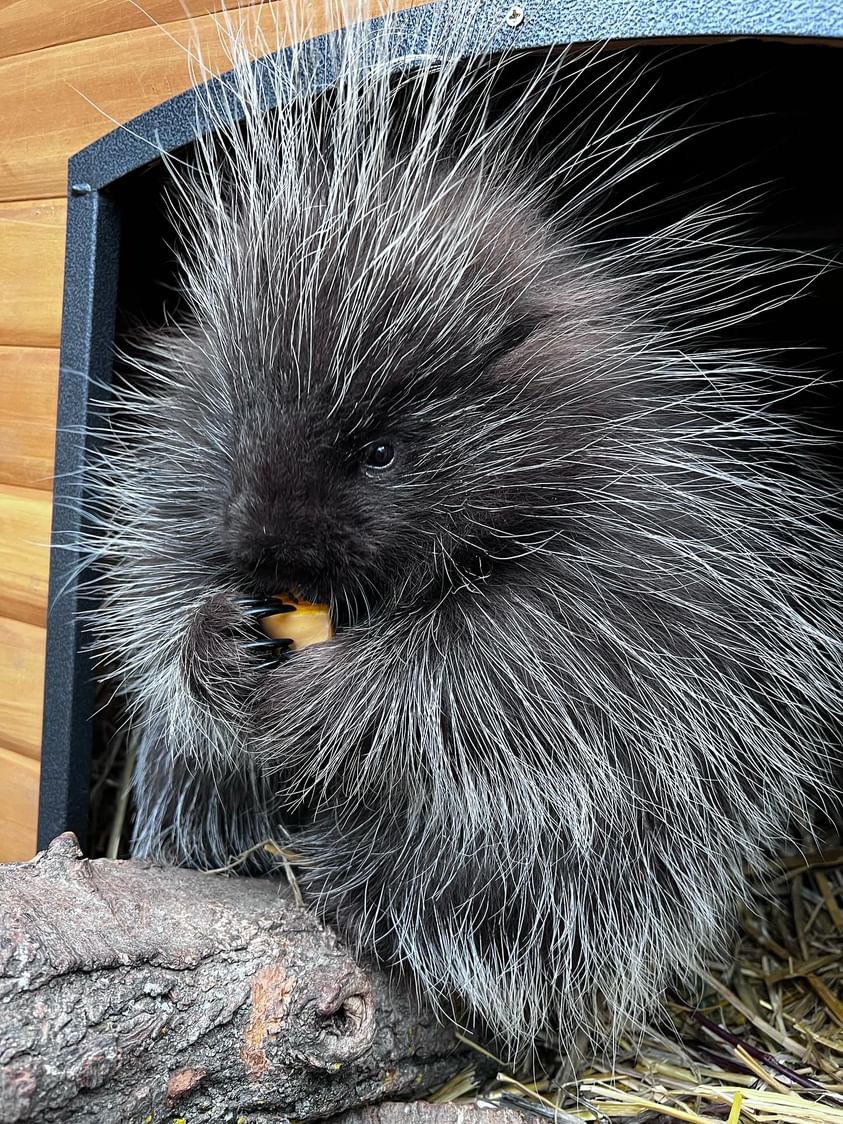 Osprey Wilds Home - Osprey Wilds Environmental Learning Center