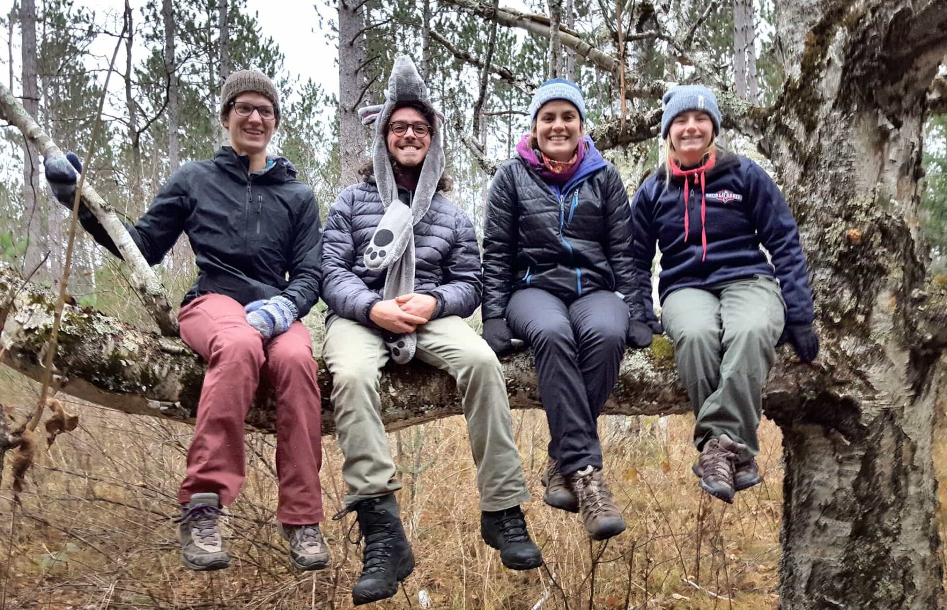 Minnesota Forests Course - Osprey Wilds