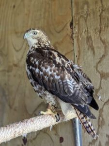 Osprey Wilds Home - Osprey Wilds Environmental Learning Center